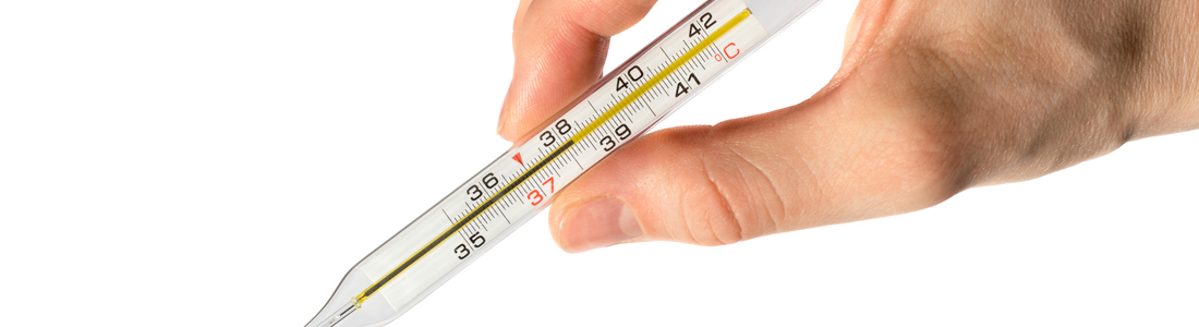 Q-koorts - MAX Vandaag