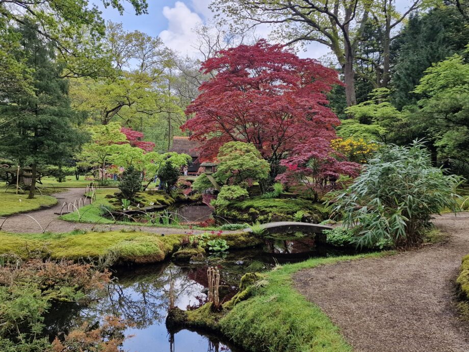Tuinbezoek: de Japanse tuin op Landgoed Clingendael in Den Haag - MAX Vandaag