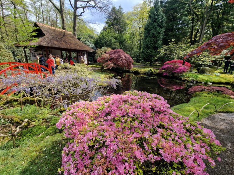 Tuinbezoek: de Japanse tuin op Landgoed Clingendael in Den Haag - MAX Vandaag