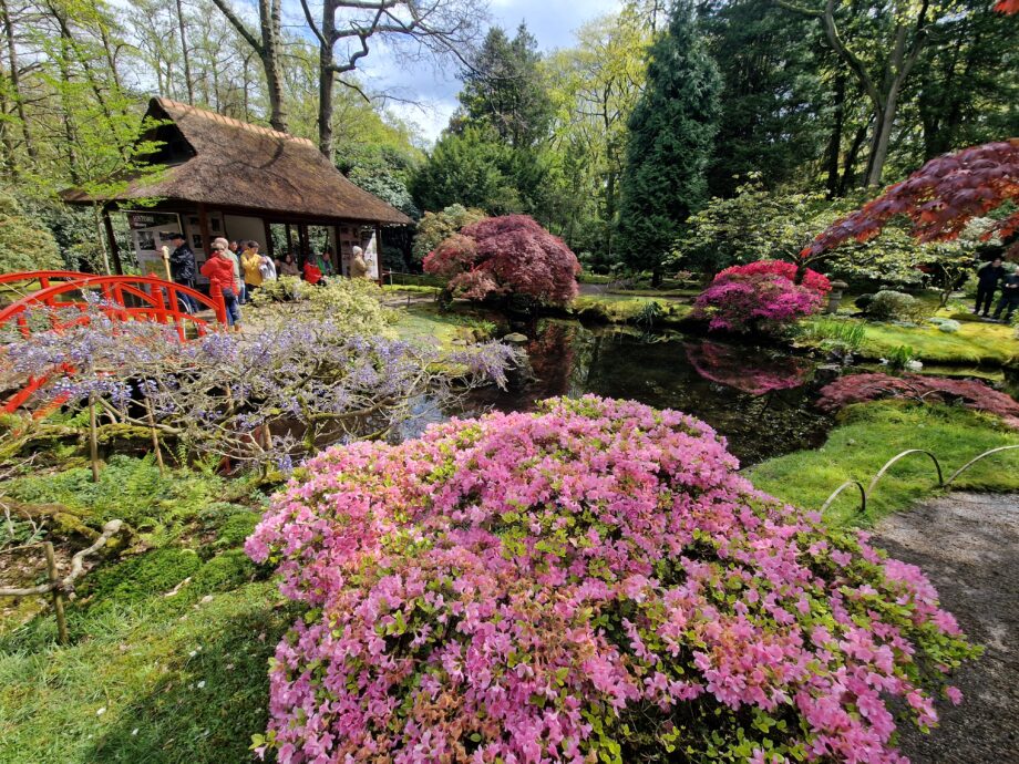 Tuinbezoek: de Japanse tuin op Landgoed Clingendael in Den Haag - MAX Vandaag